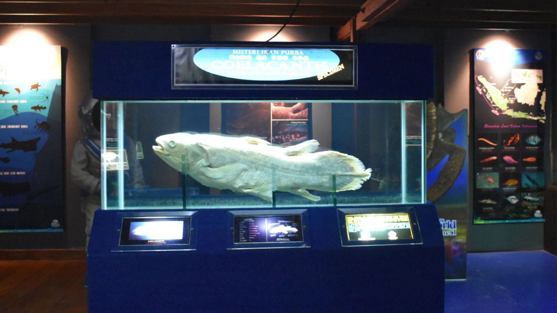 Sea World Ancol: Info & Harga Tiket 2023 - En's Room